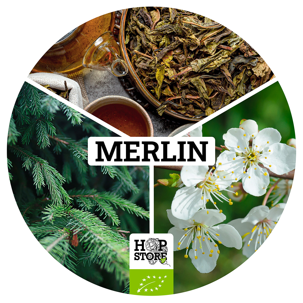 MERLIN Organicsweet and floral hops with notes of cedar and green tea