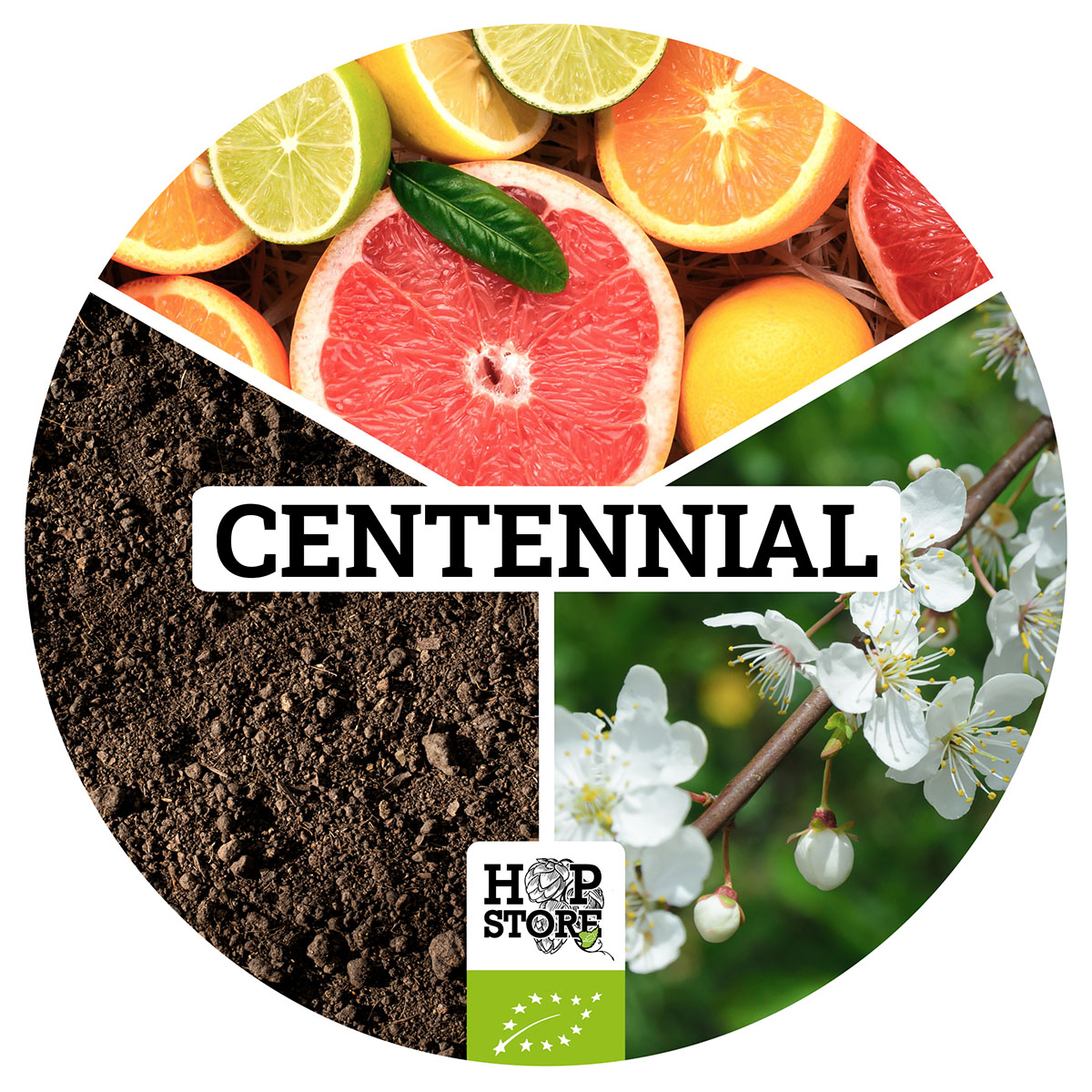 Centennial Organic, the famous "Super Cascade" for all your beers