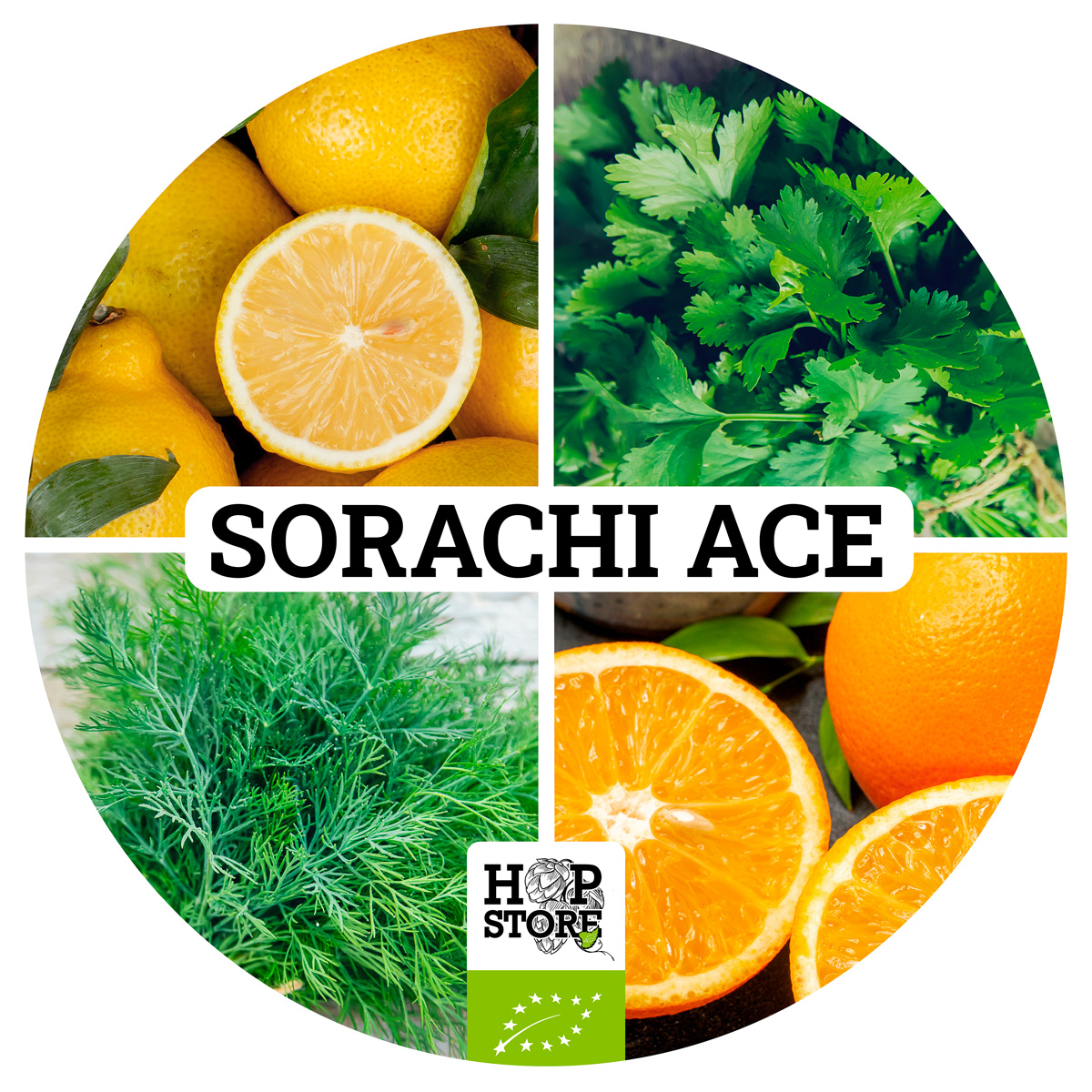 SORACHI ACE, du citron, du citron, du citron